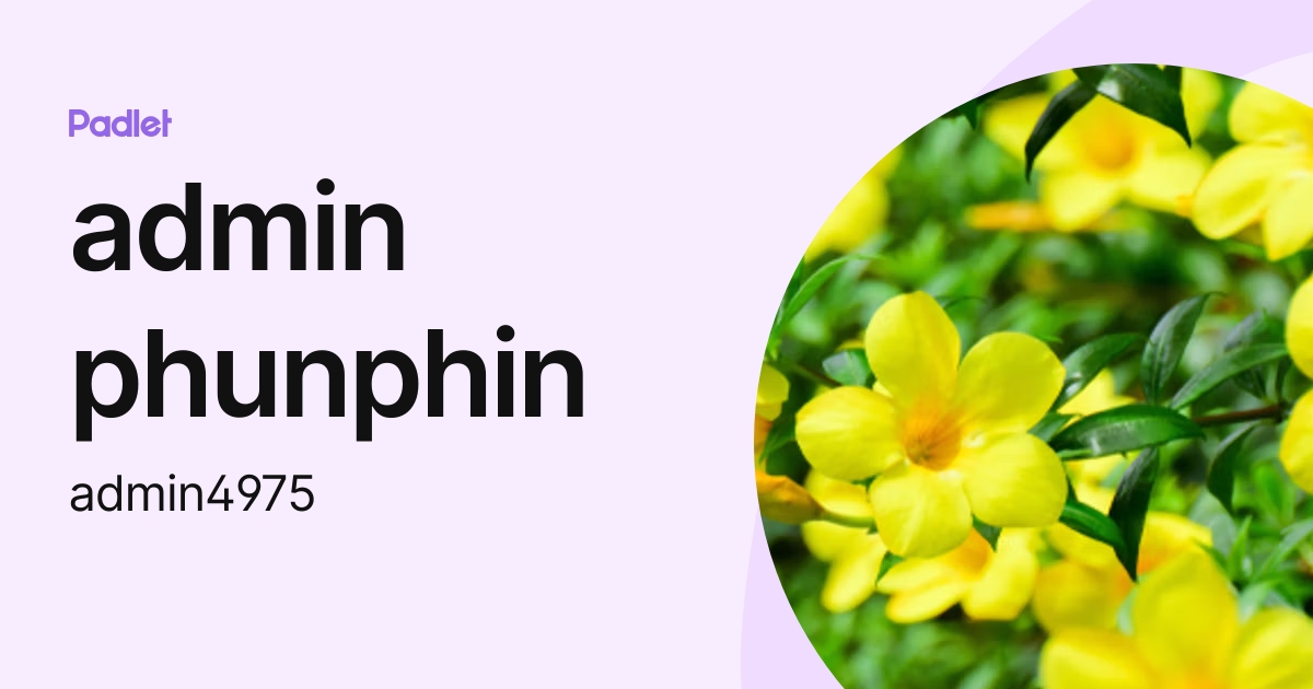 admin phunphin (admin4975) profile | Padlet
