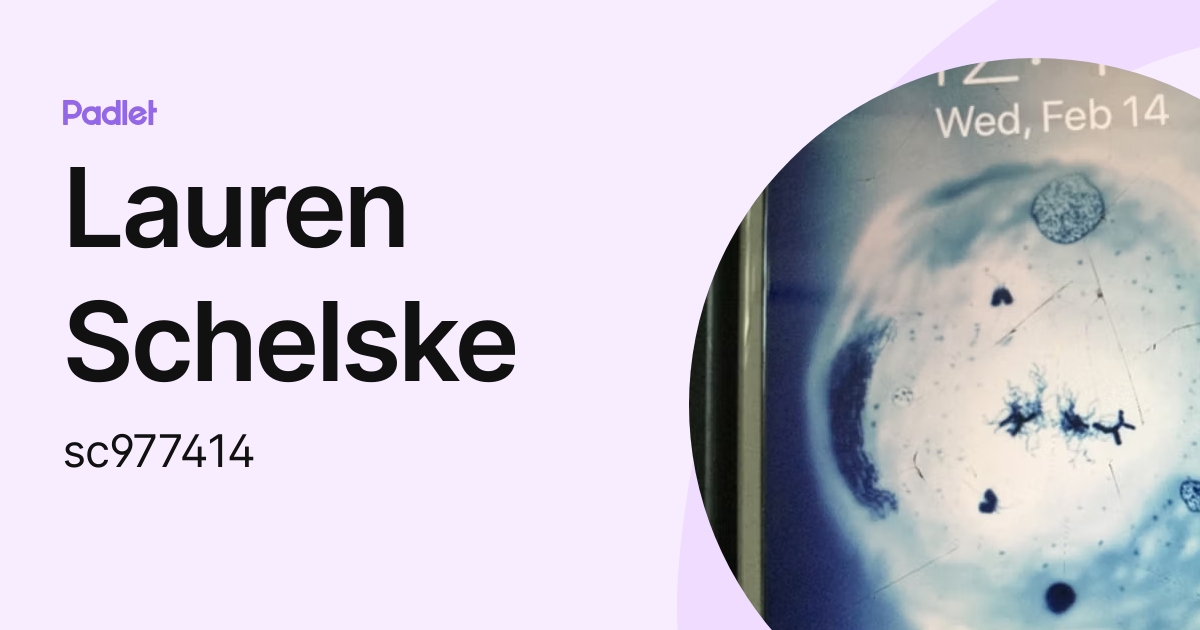 Lauren Schelske (sc977414) profile | Padlet