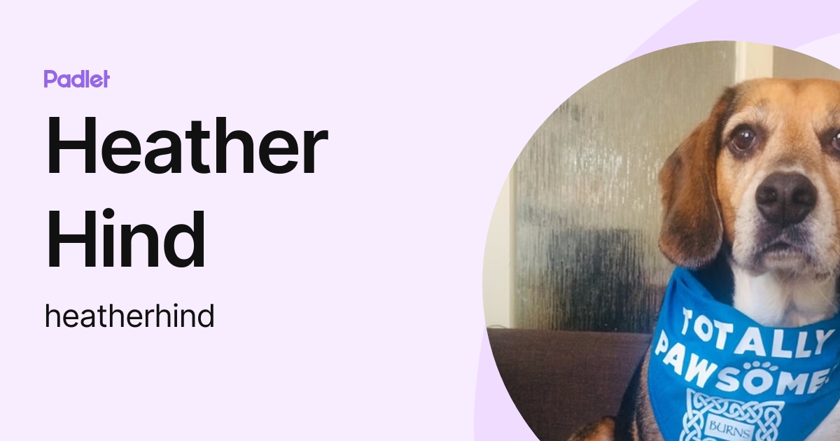Heather Hind Heatherhind Profile Padlet