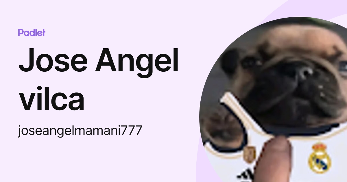 Jose Angel vilca (joseangelmamani777) profile | Padlet