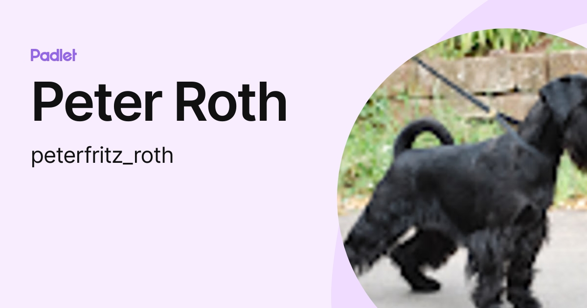 Peter Roth (peterfritz_roth) profile | Padlet