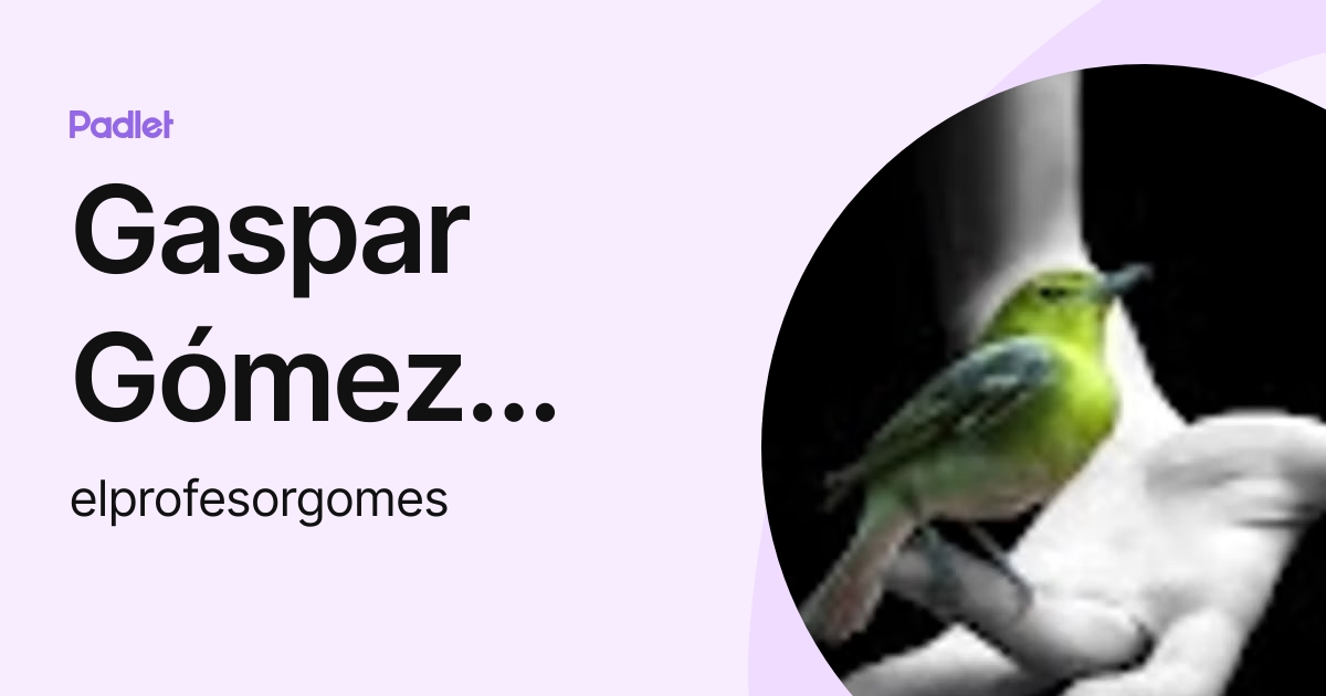 Gaspar Gómez Tórrez (elprofesorgomes) profile | Padlet