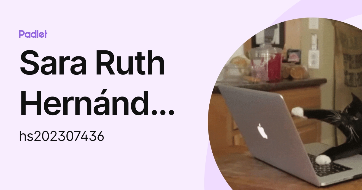 Sara Ruth Hernández Sánchez (hs202307436) profile | Padlet