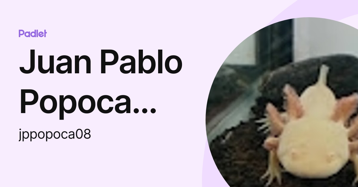 Juan Pablo Popoca Castillo (jppopoca08) profile | Padlet
