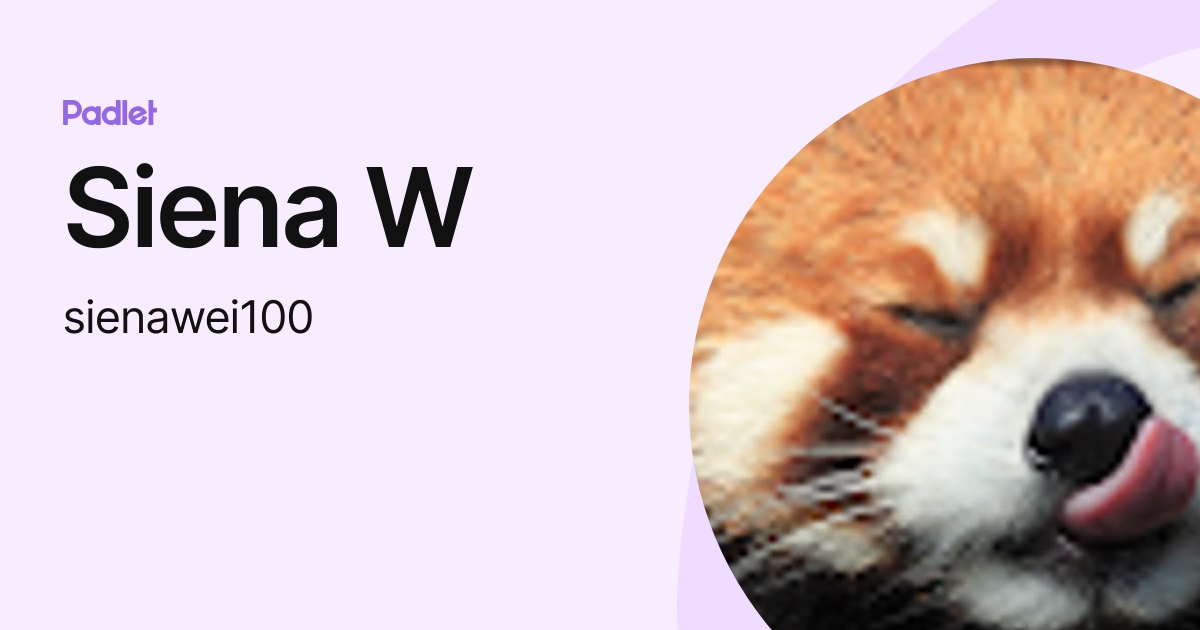Siena W (sienawei100) profile | Padlet