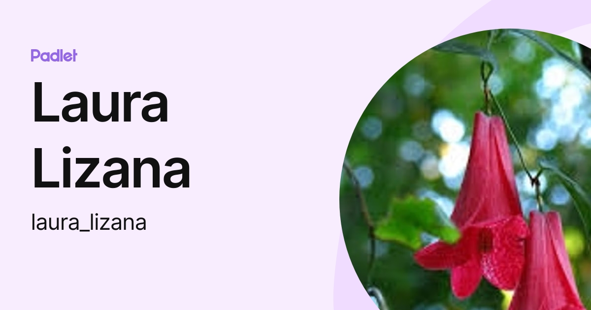 Profil de Laura Lizana (laura_lizana) | Padlet