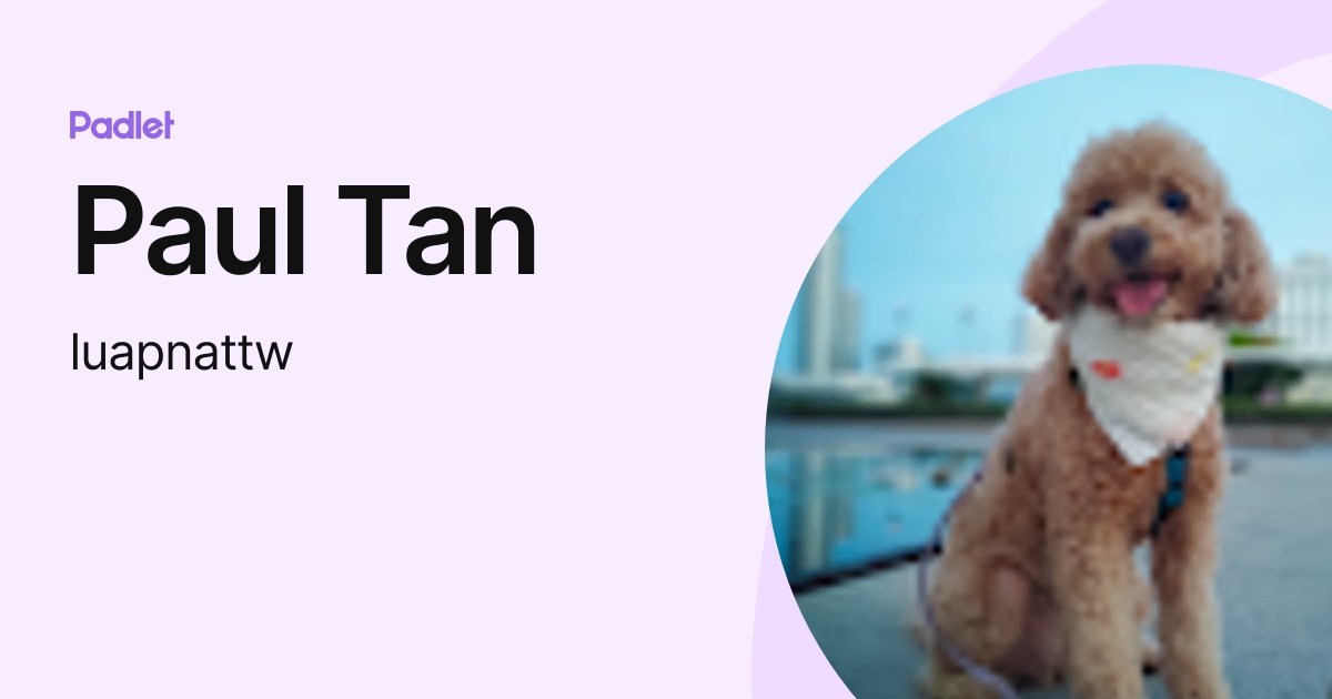 Paul Tan (luapnattw) profile | Padlet