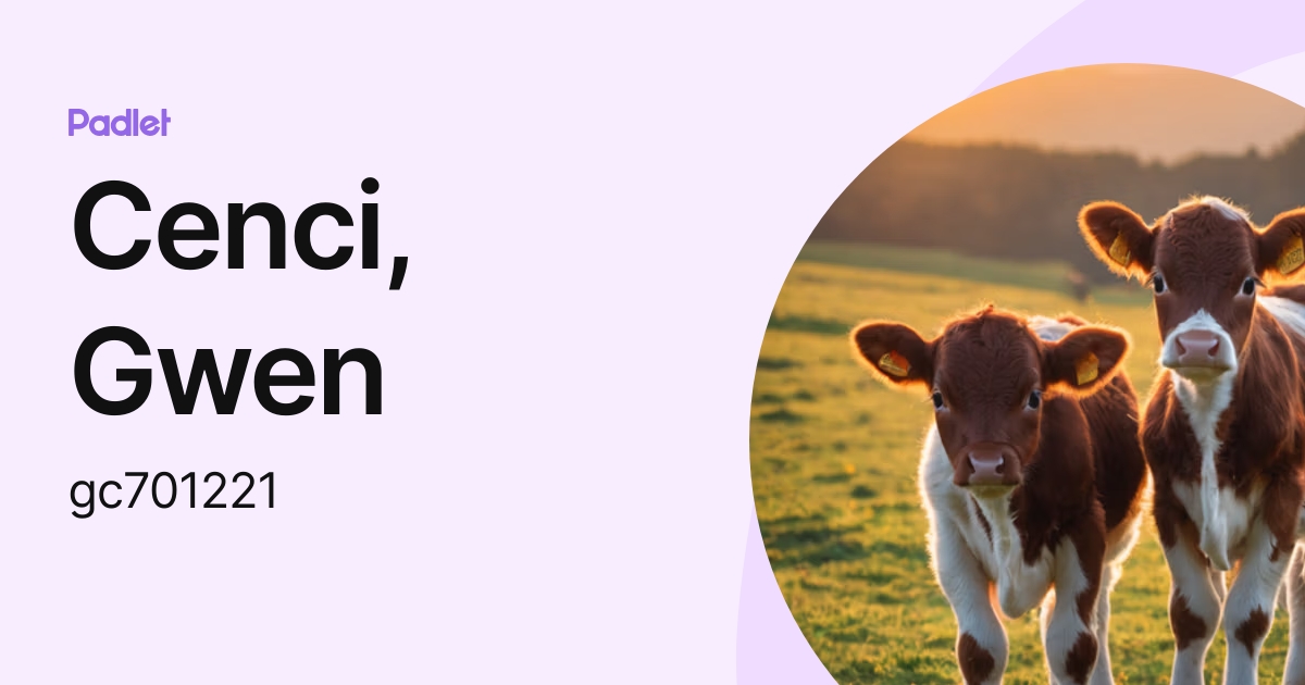 Cenci, Gwen (gc701221) profile | Padlet