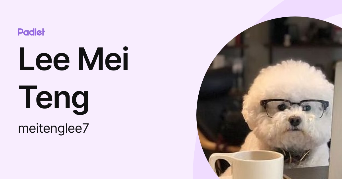 Lee Mei Teng (meitenglee7) profile | Padlet