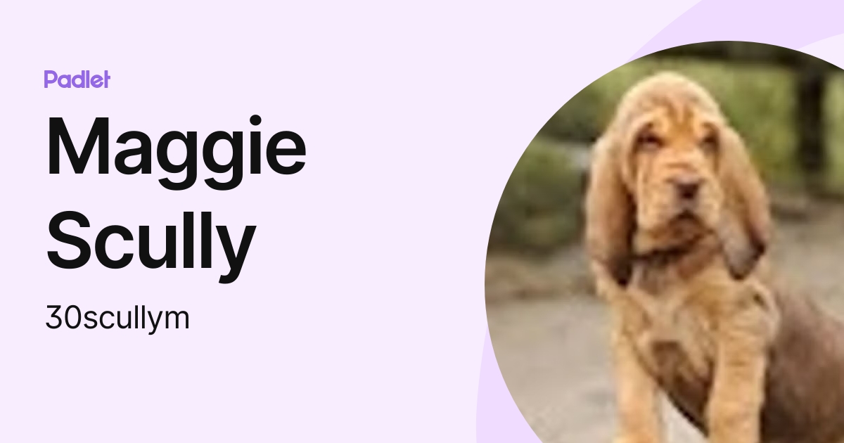 Maggie Scully (30scullym) profile | Padlet