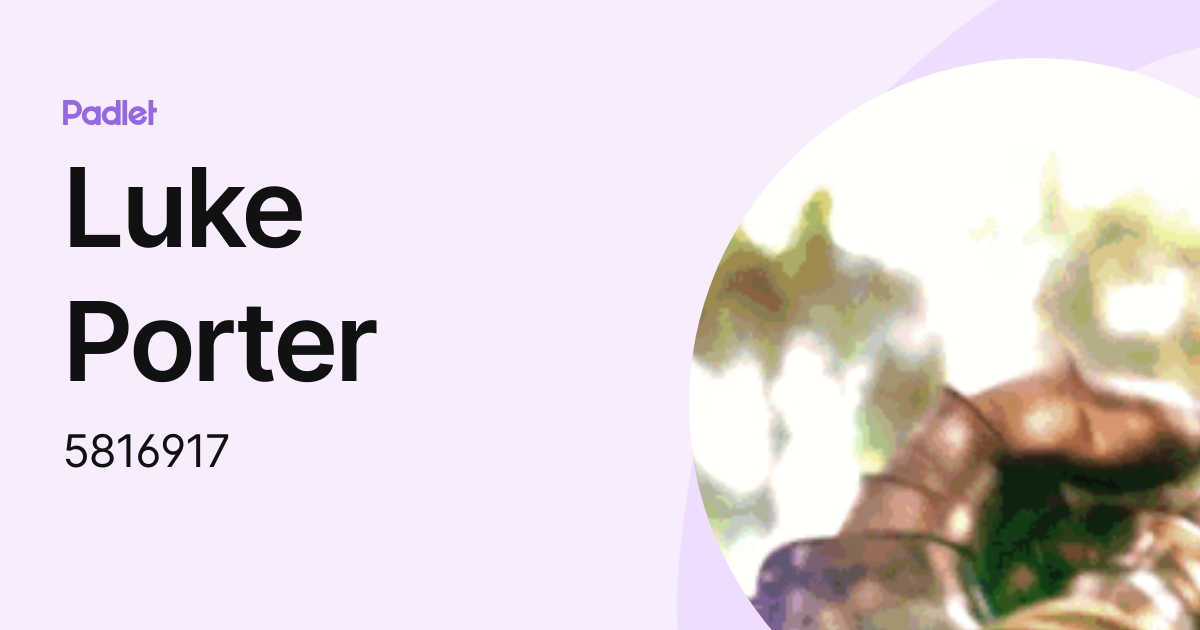 Luke Porter (5816917) profile | Padlet
