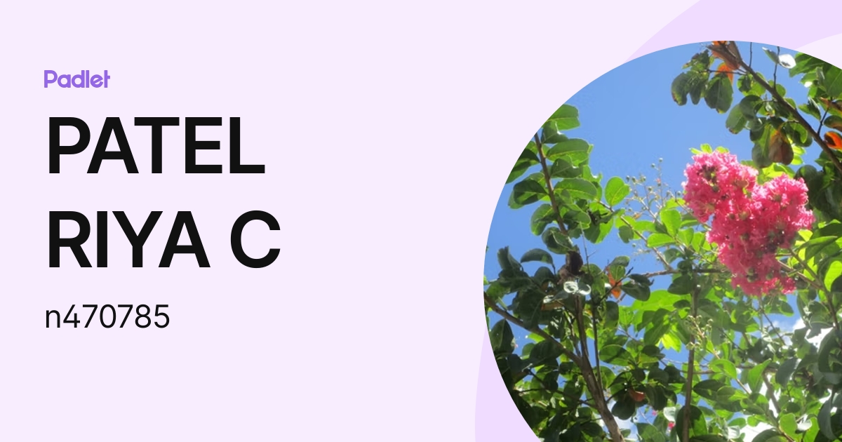 PATEL RIYA C (n470785) profile | Padlet