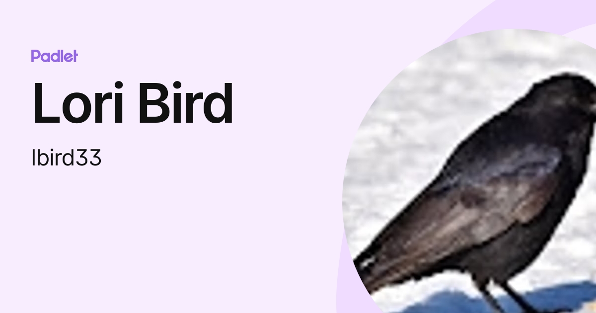 Lori Bird (lbird33) profile | Padlet