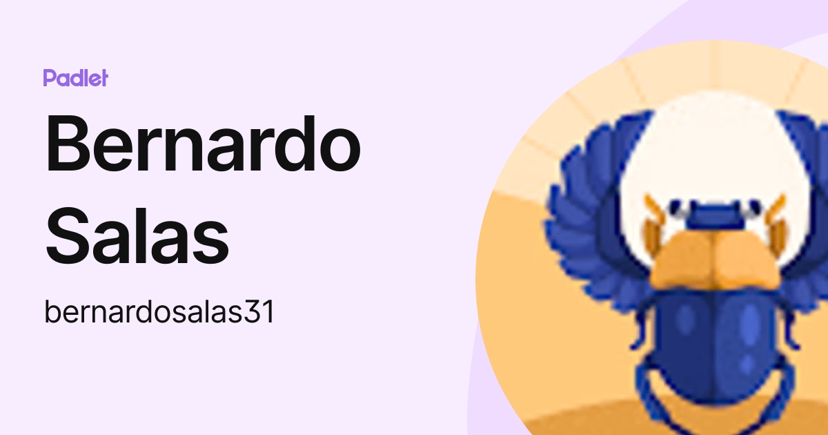 Bernardo Salas (bernardosalas31) profile | Padlet