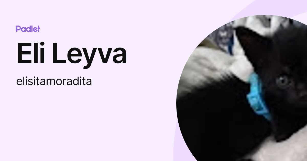 Eli Leyva (elisitamoradita) profile | Padlet
