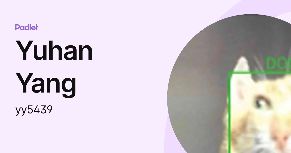 Yuhan Yang (yy5439) profile | Padlet