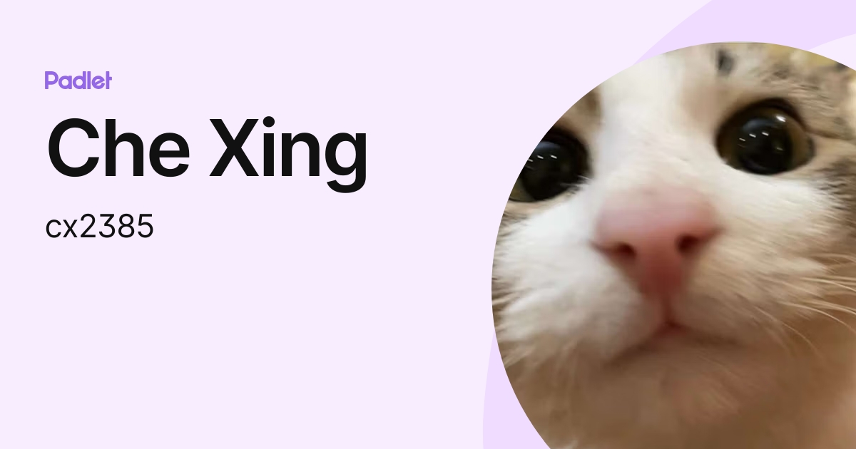 Che Xing (cx2385) profile | Padlet