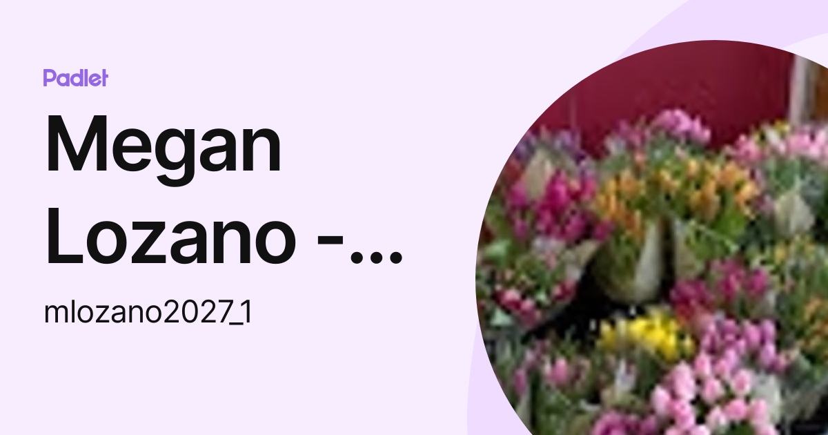 Megan Lozano - 2027 (mlozano2027_1) profile | Padlet