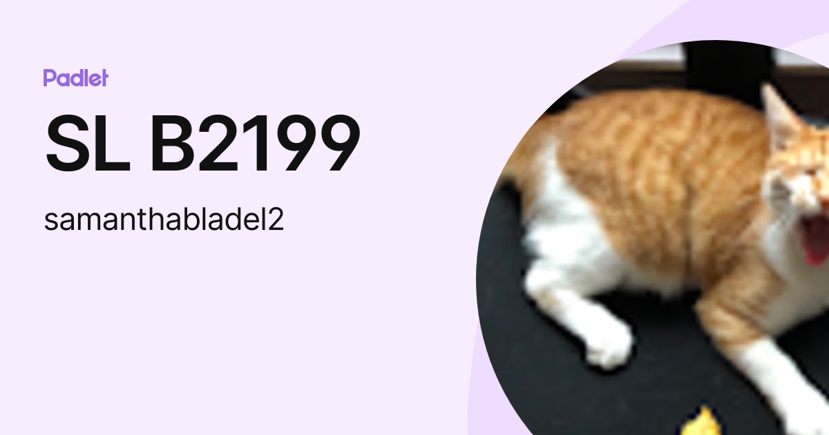 SL B2199 (samanthabladel2) profile | Padlet