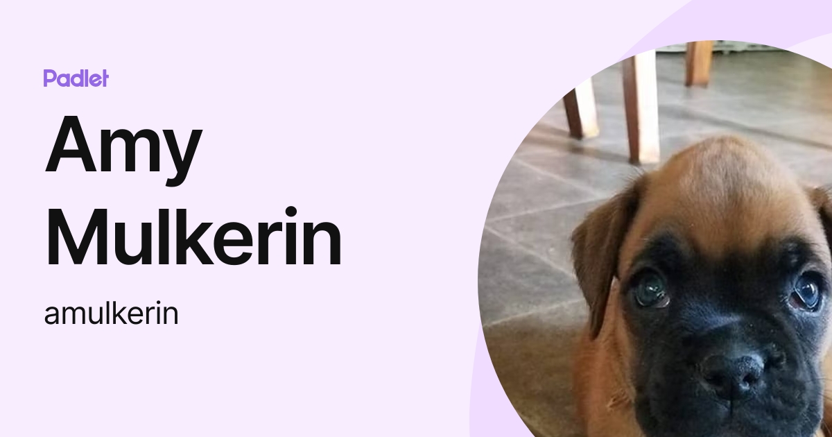 Amy Mulkerin (amulkerin) profile | Padlet
