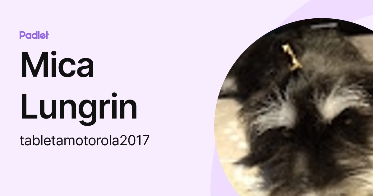 Mica Lungrin (tabletamotorola2017) profile | Padlet