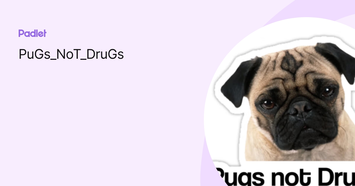 PuGs_NoT_DruGs profile | Padlet