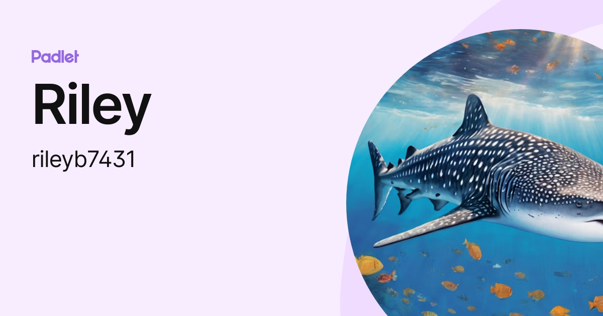 Riley (rileyb7431) profile | Padlet