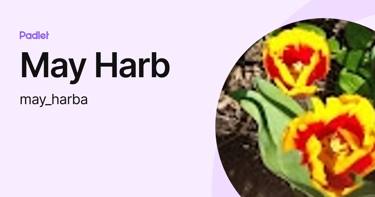 May Harb (may_harba) profile | Padlet