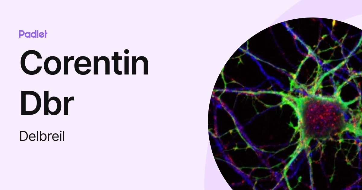 Corentin Dbr (Delbreil) profile | Padlet