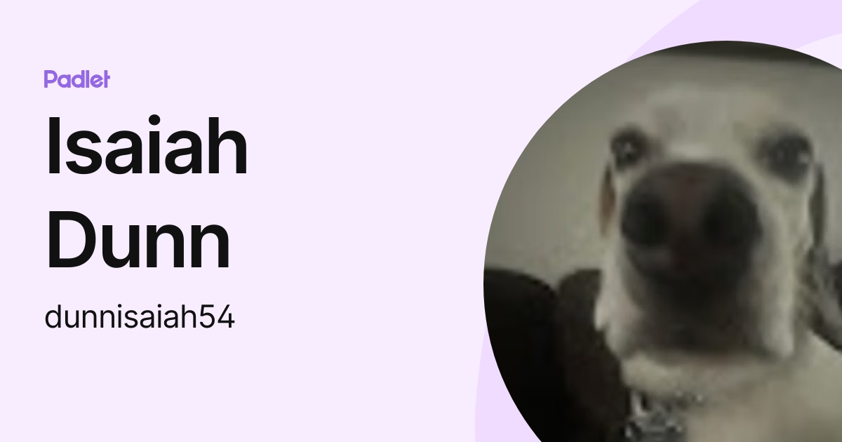 Isaiah Dunn (dunnisaiah54) profile | Padlet