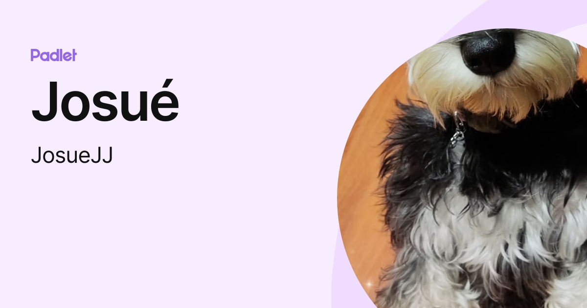 Josué (JosueJJ) profile | Padlet