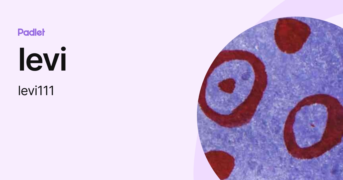 levi (levi111) profile | Padlet