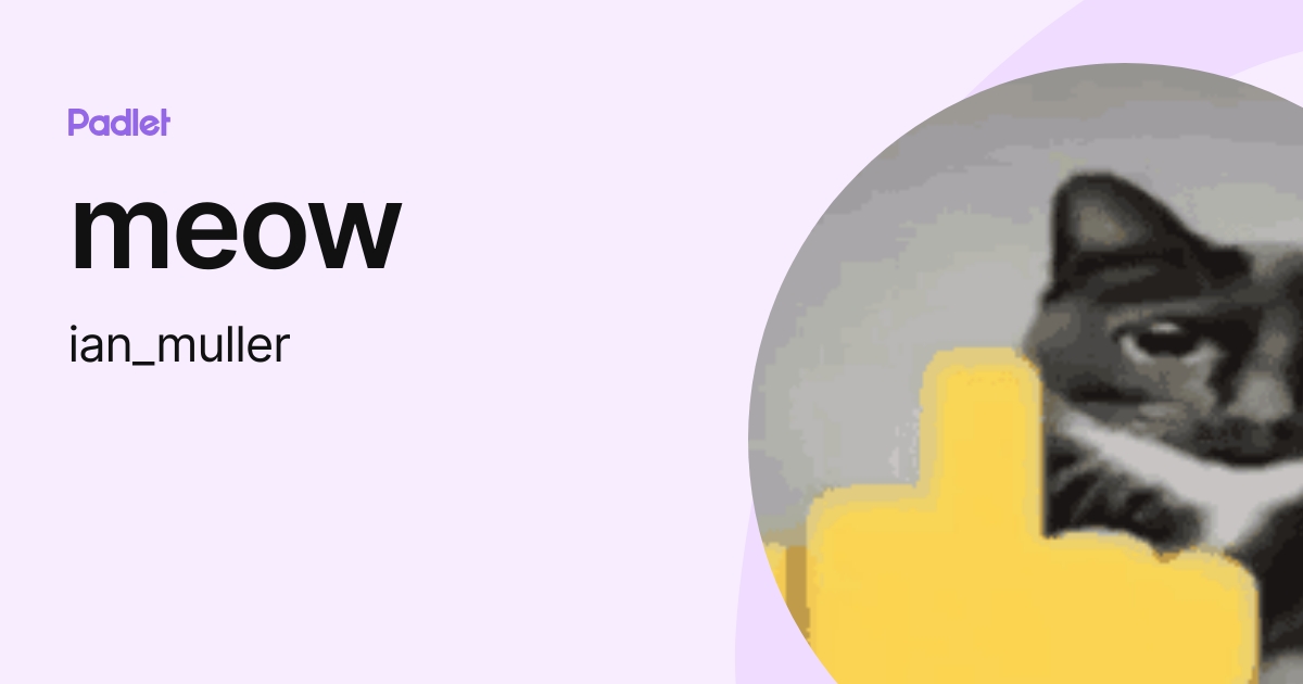 meow (ian_muller) profile | Padlet