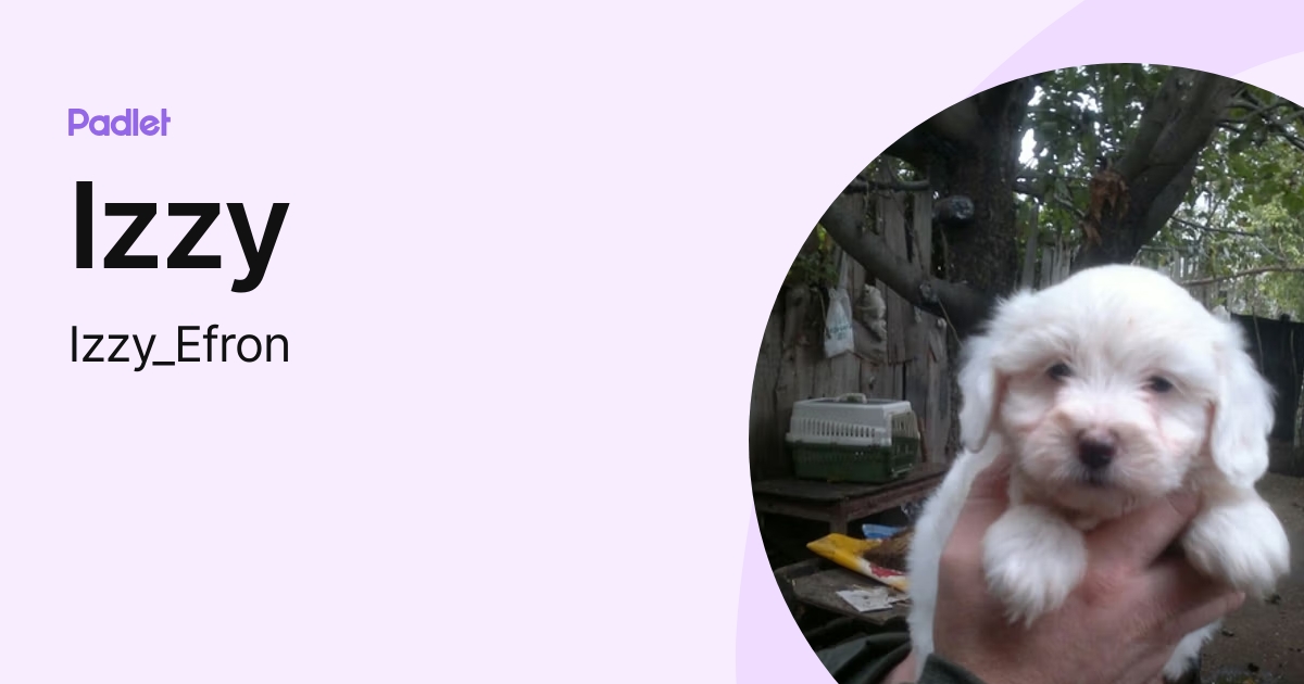 Izzy (Izzy_Efron) profile | Padlet