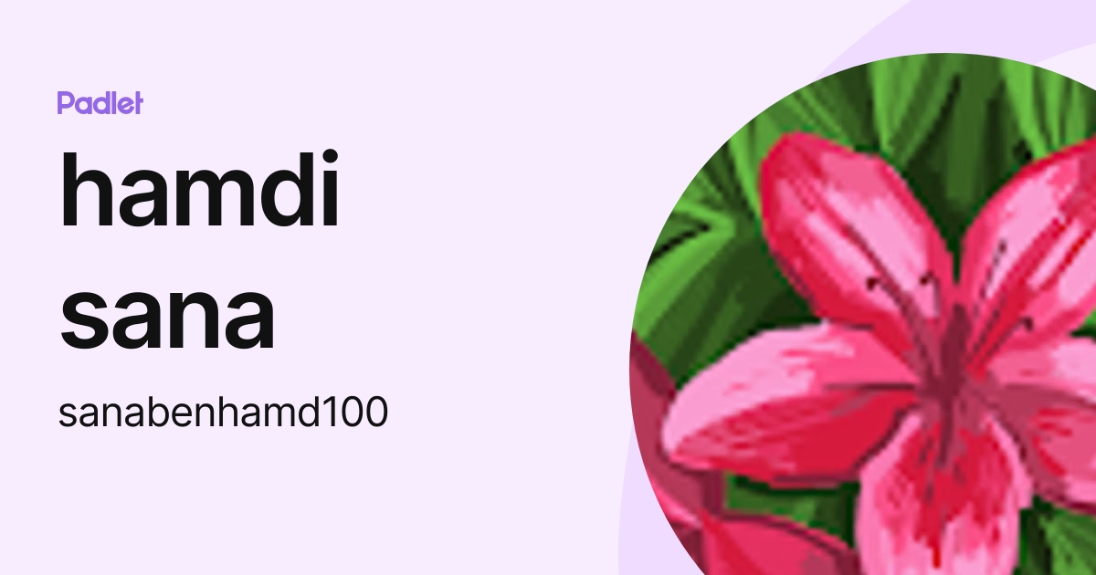 hamdi sana (sanabenhamd100) profile | Padlet