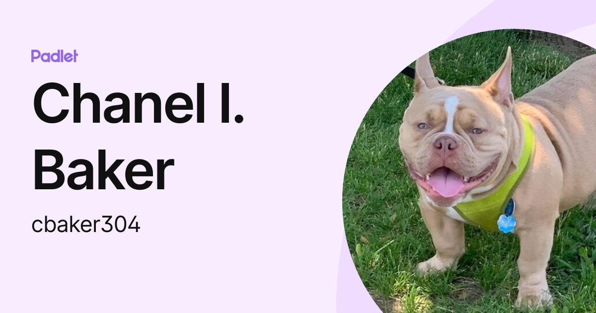 Chanel I. Baker (cbaker304) profile | Padlet