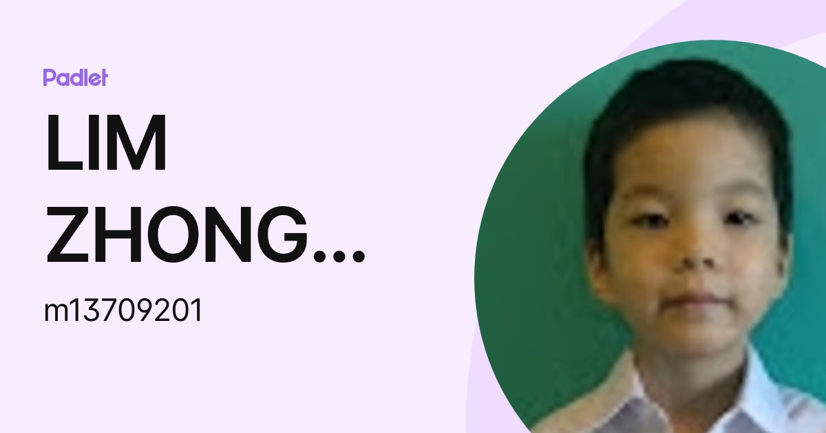 LIM ZHONG HAN Moe (m13709201) profile | Padlet