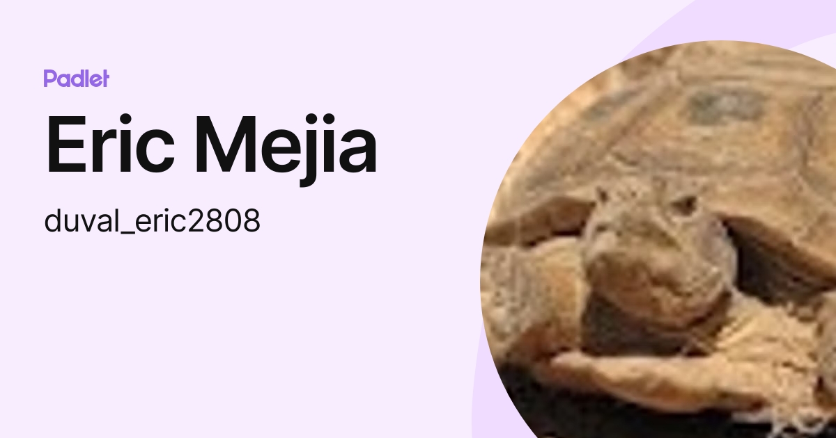 Eric Mejia (duval_eric2808) profile | Padlet