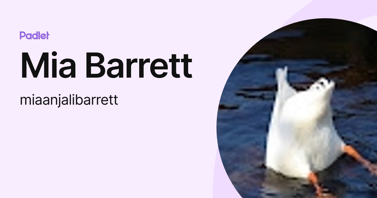Mia Barrett (miaanjalibarrett) profile | Padlet