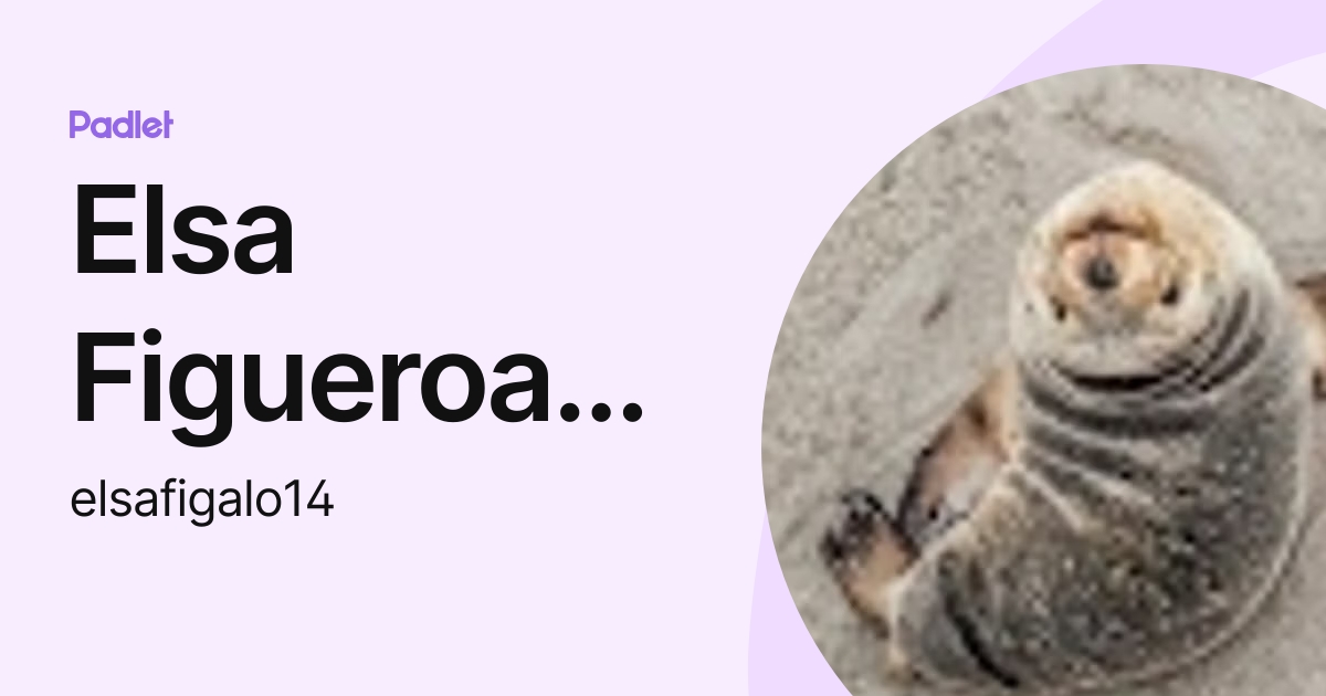 Elsa Figueroa Alonso (elsafigalo14) profile | Padlet