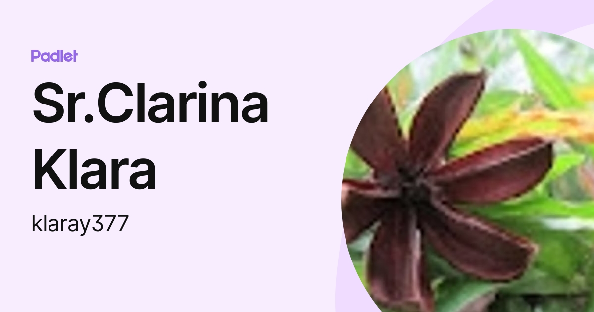 Sr.Clarina Klara (klaray377) profile | Padlet