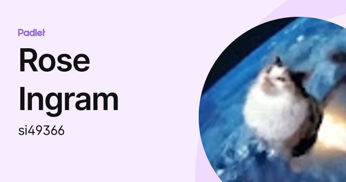 Rose Ingram (si49366) profile | Padlet