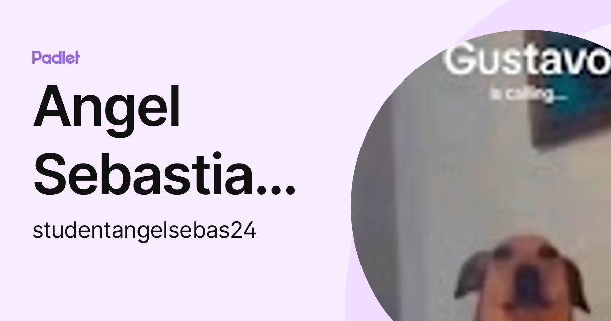 Angel Sebastian Student (studentangelsebas24) profile | Padlet