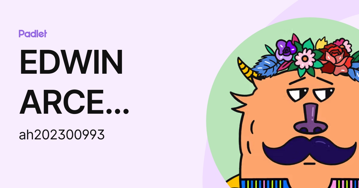 EDWIN ARCE HERNANDEZ (ah202300993) profile | Padlet