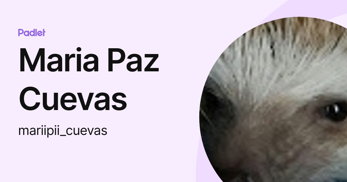 Maria Paz Cuevas (mariipii_cuevas) profile | Padlet