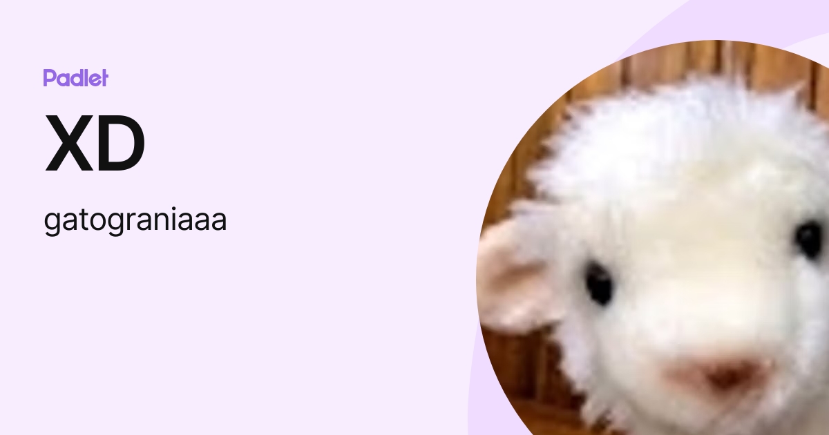 XD (gatograniaaa) profile | Padlet
