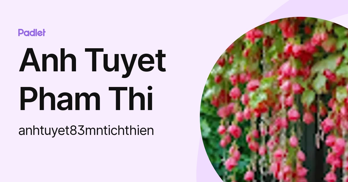Anh Tuyet Pham Thi (anhtuyet83mntichthien) profile | Padlet