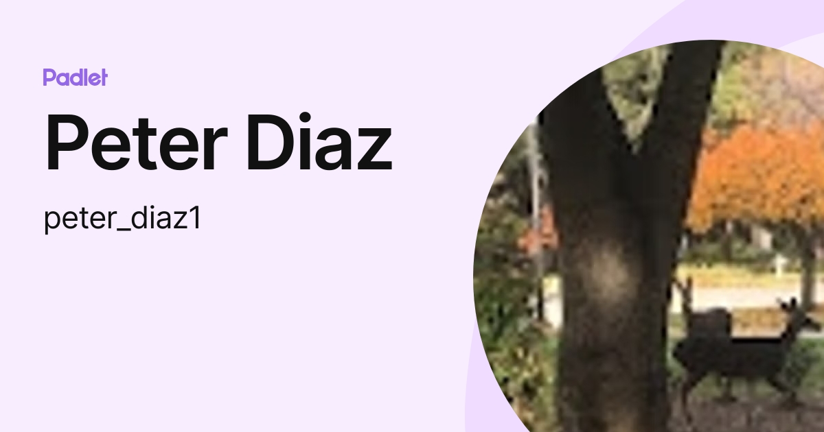 Peter Diaz (pdiaz10) profile | Padlet