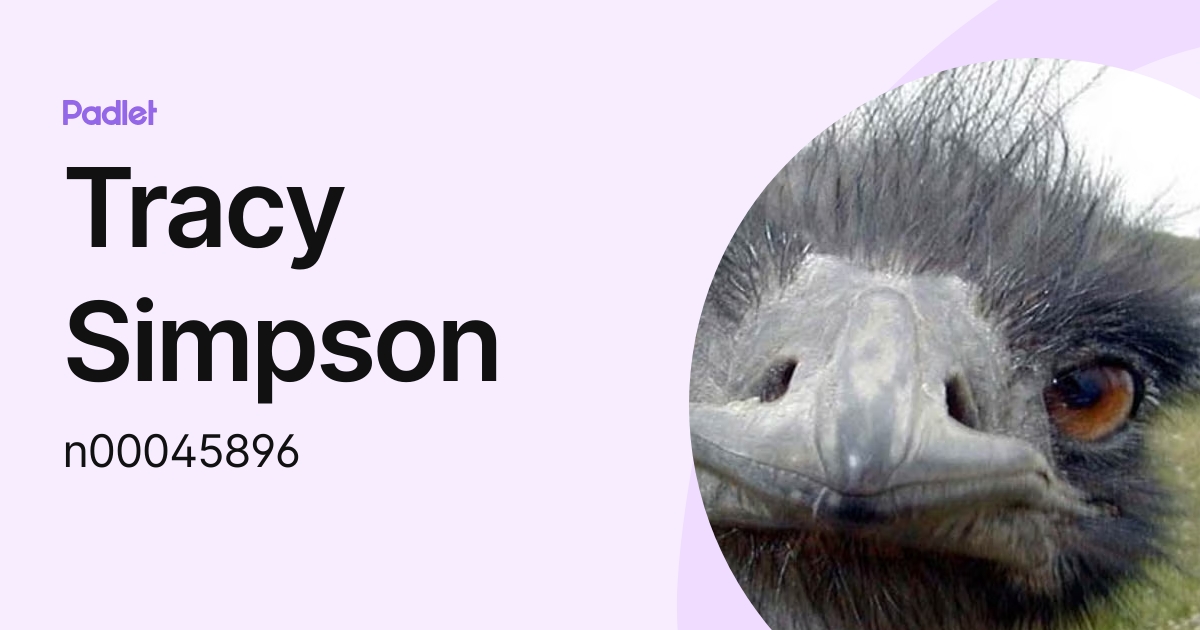 Tracy Simpson (n00045896) profile | Padlet