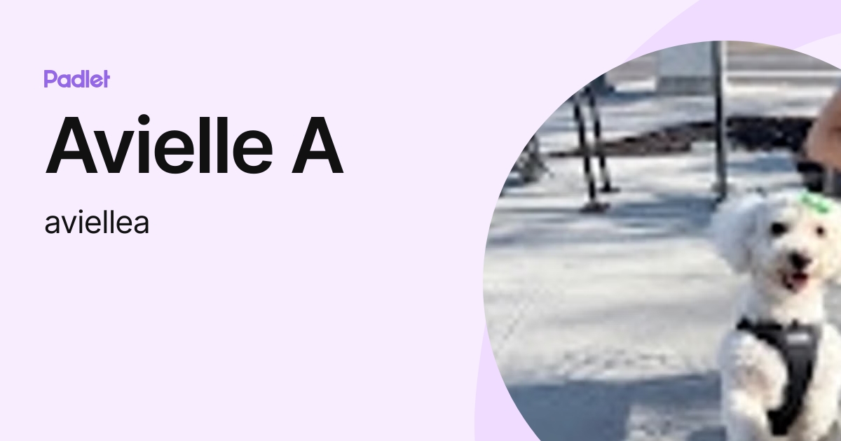 Avielle A (aviellea) profile | Padlet